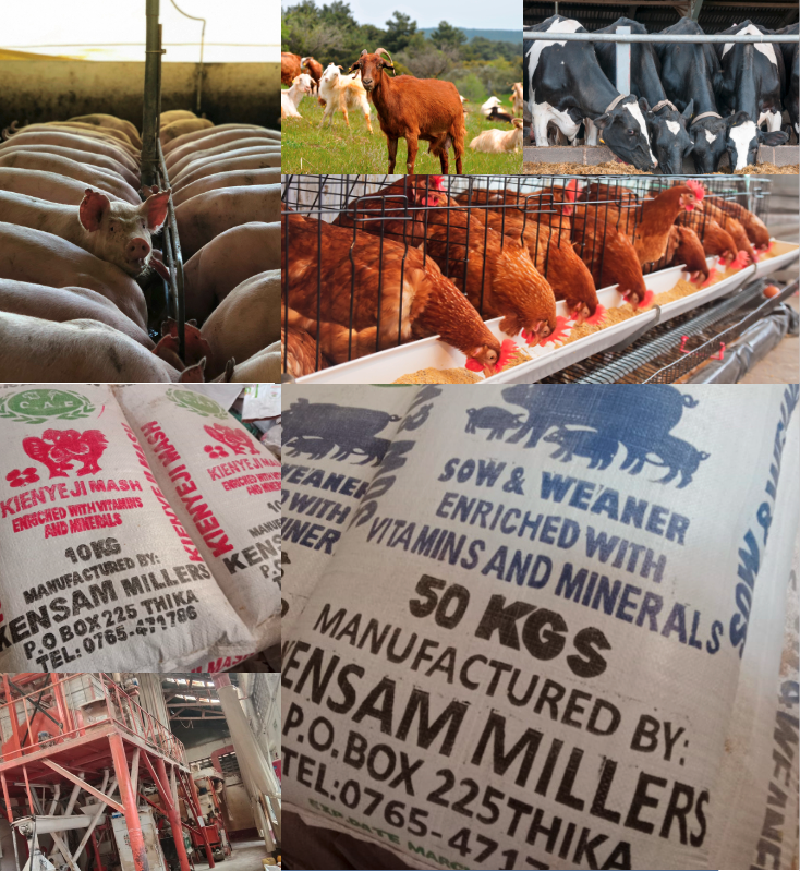 Kensam Millers Ltd — Maize Flour & Animal Feeds